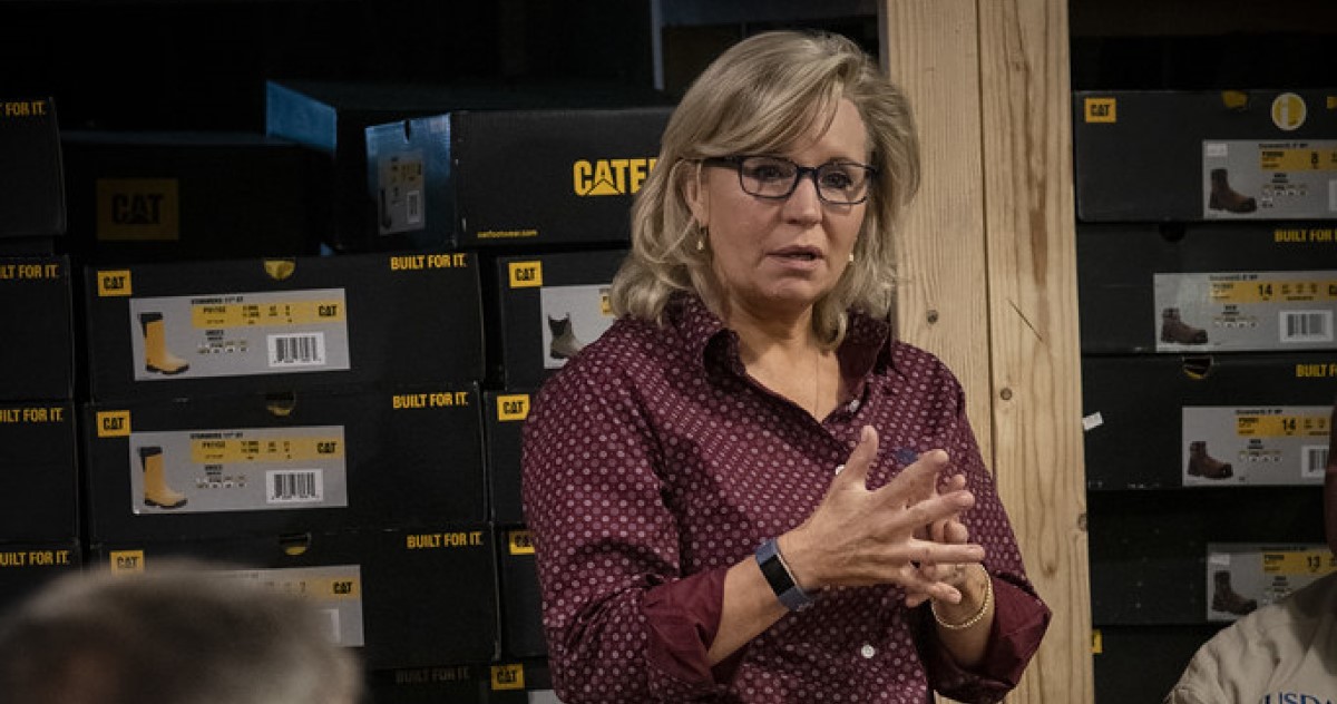 Liz Cheney Realizes It's Time to Hire a Lawyer - Right Wing News Hour